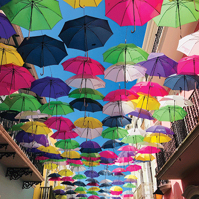 Puerto Rico: At El Morro - Designs By Reminisce